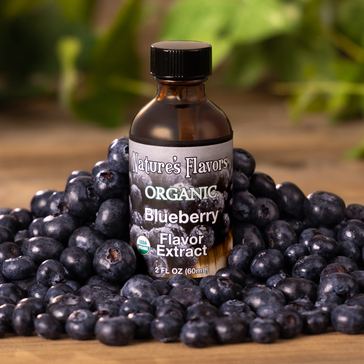 Organic Blueberry Flavor – Nature's Flavors