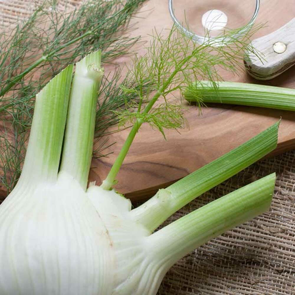 Anise Flavor Extract, Natural – Nature's Flavors