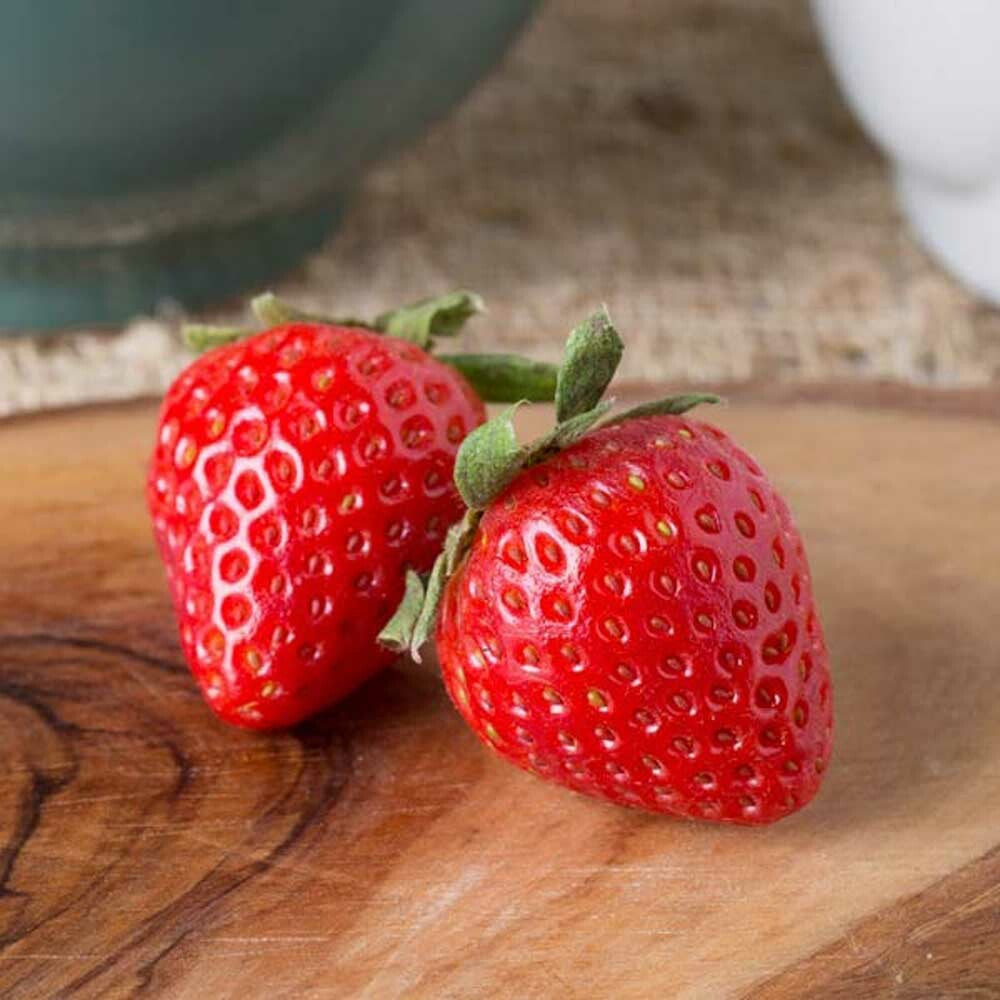 Natural Strawberry Puree – Nature's Flavors