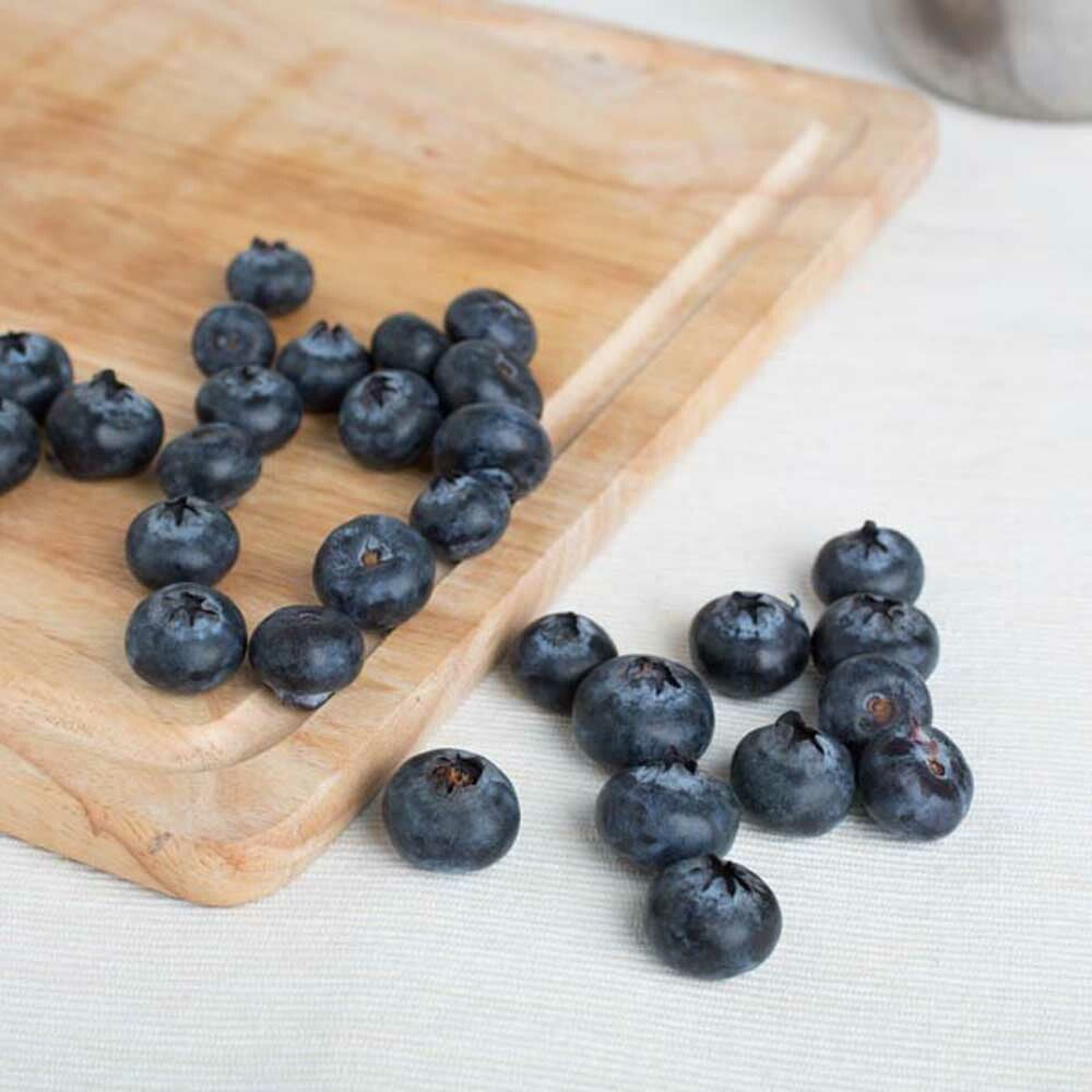 Organic Blueberry Compound – Nature's Flavors