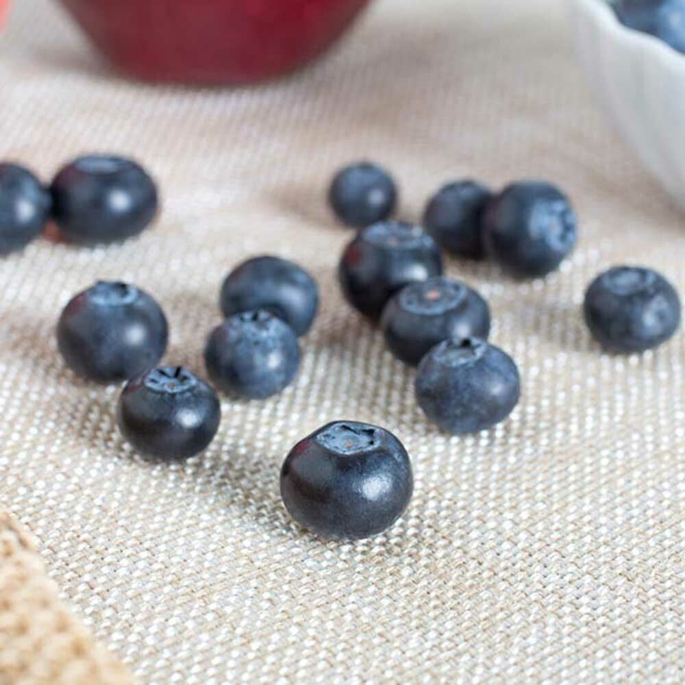 Blueberry Cotton Candy Floss Sugar (Without Color) - Bulk – Nature's ...