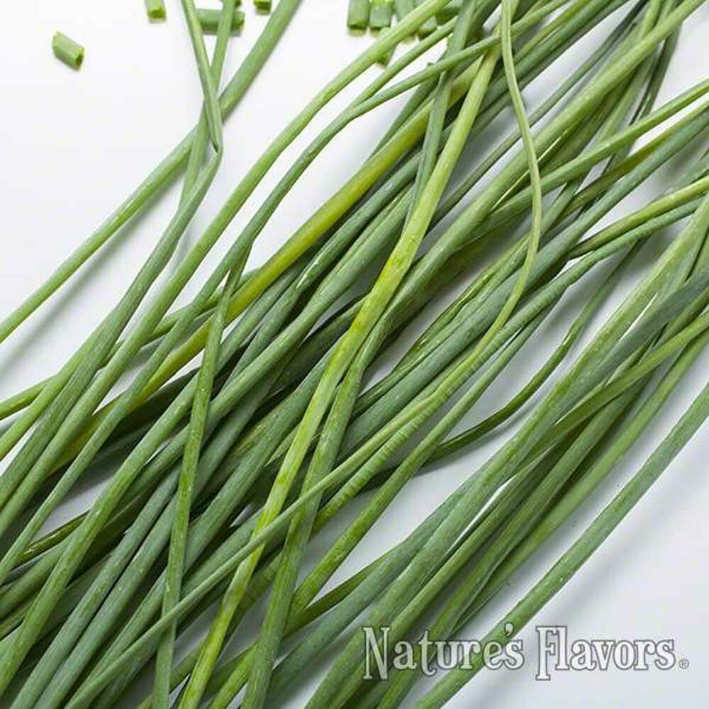 Organic Chives Flavor Concentrate – Nature's Flavors