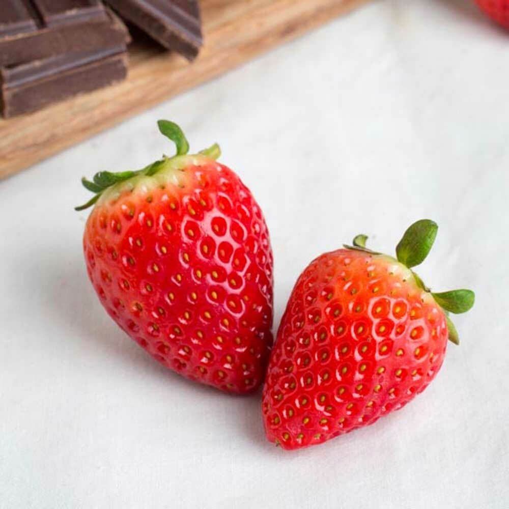 Organic Chocolate Strawberry Coffee and Tea Flavoring Without Diacetyl ...