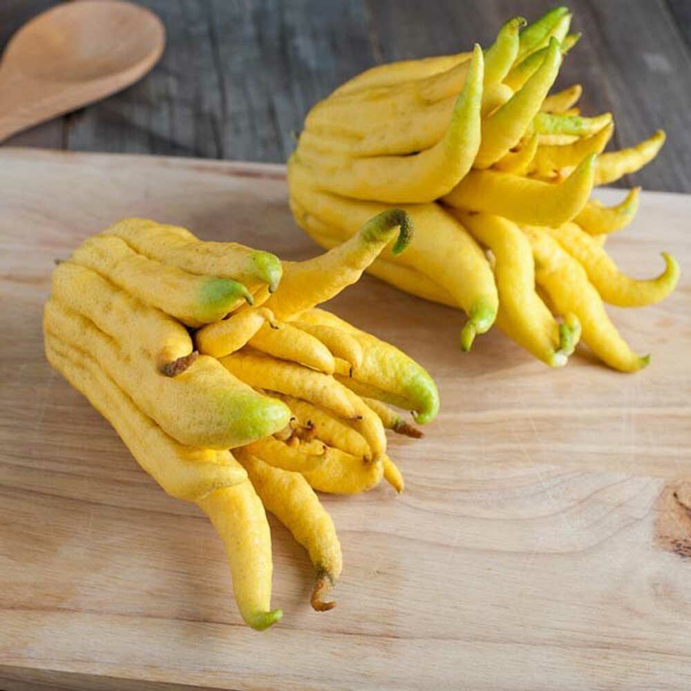Citron Flavor Concentrate, Natural - Bulk – Nature's Flavors