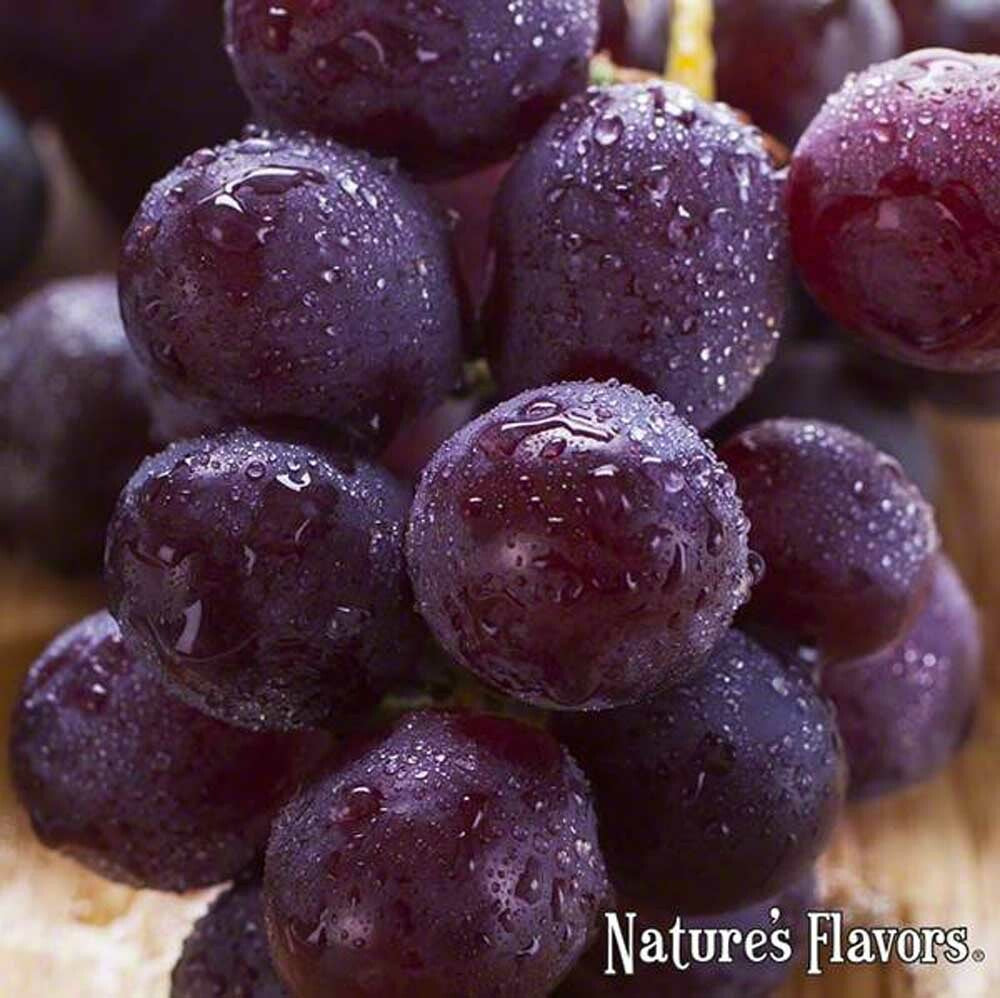 Organic Concord Grape Flavor Concentrate – Nature's Flavors