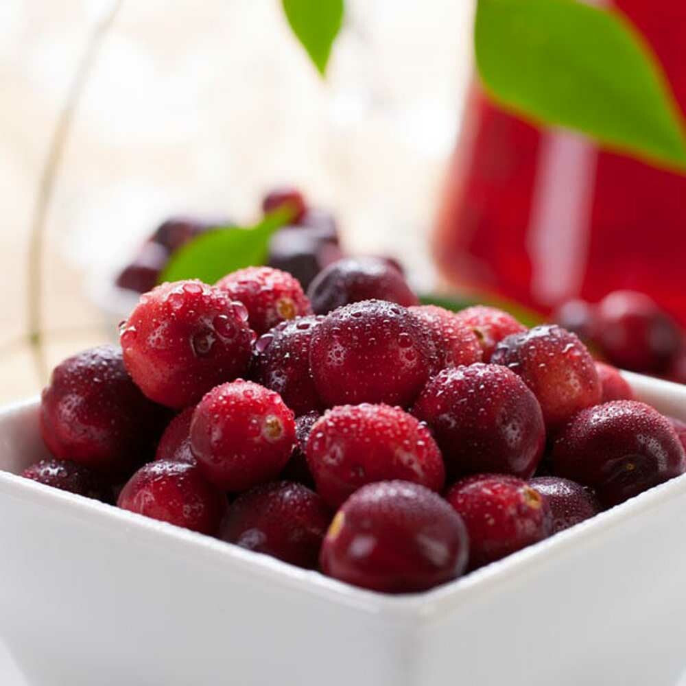 Cranberry Flavor Oil, Organic – Nature's Flavors