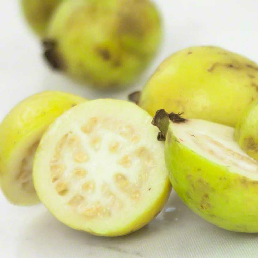 Guava Flavor Emulsion for High Heat Applications – Nature's Flavors