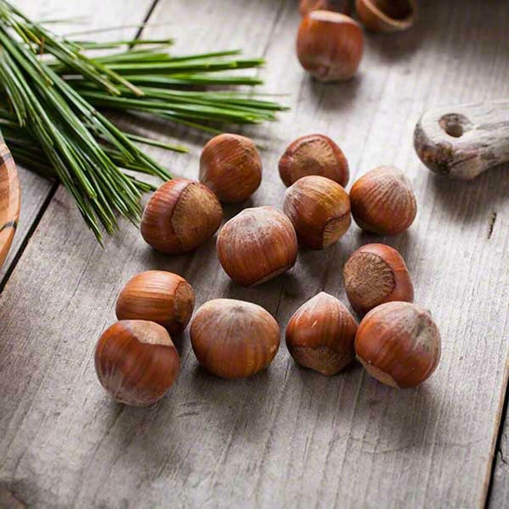 Hazelnut Flavor Emulsion for High Heat Applications – Nature's Flavors