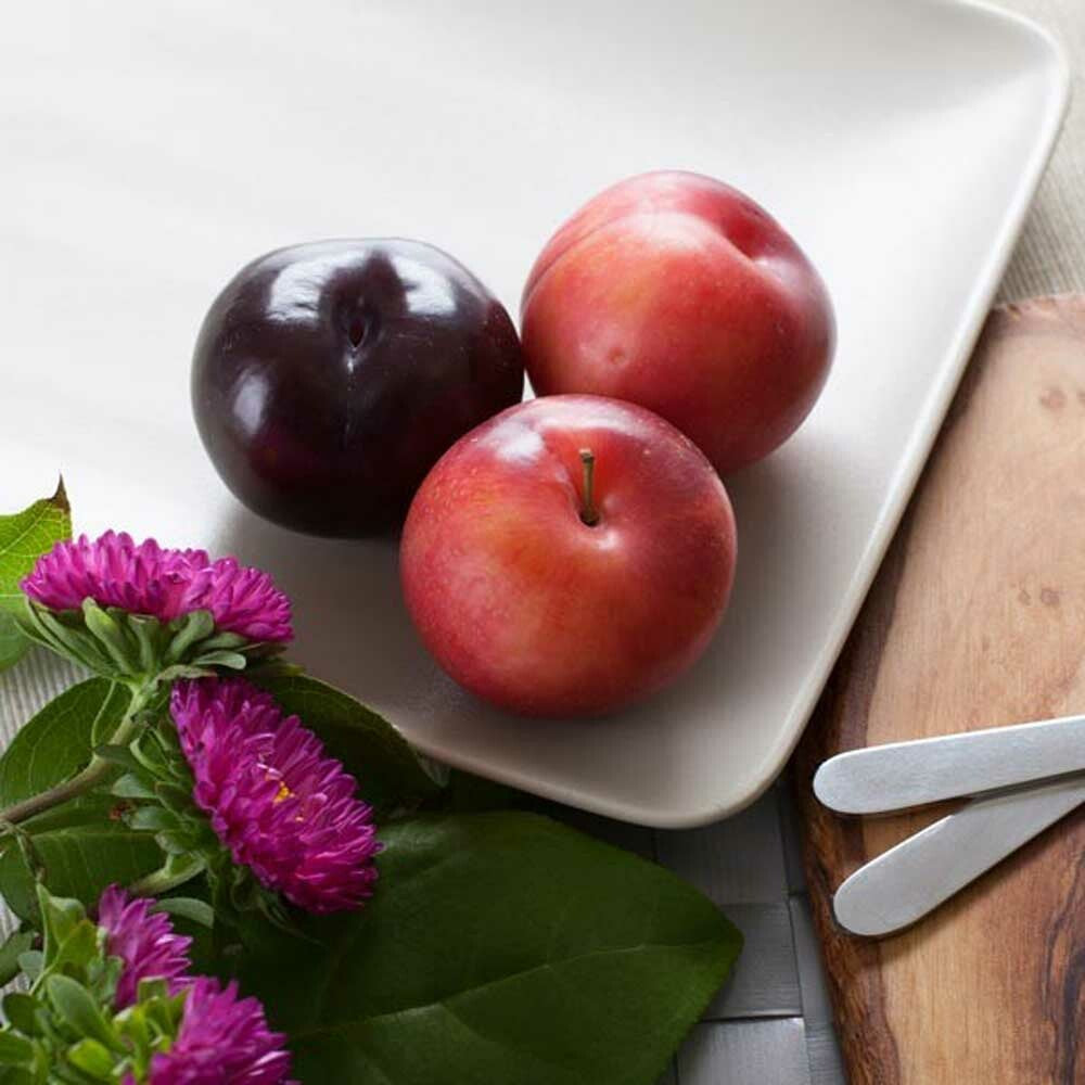 Japanese Plum Flavor Extract, Natural - Bulk – Nature's Flavors