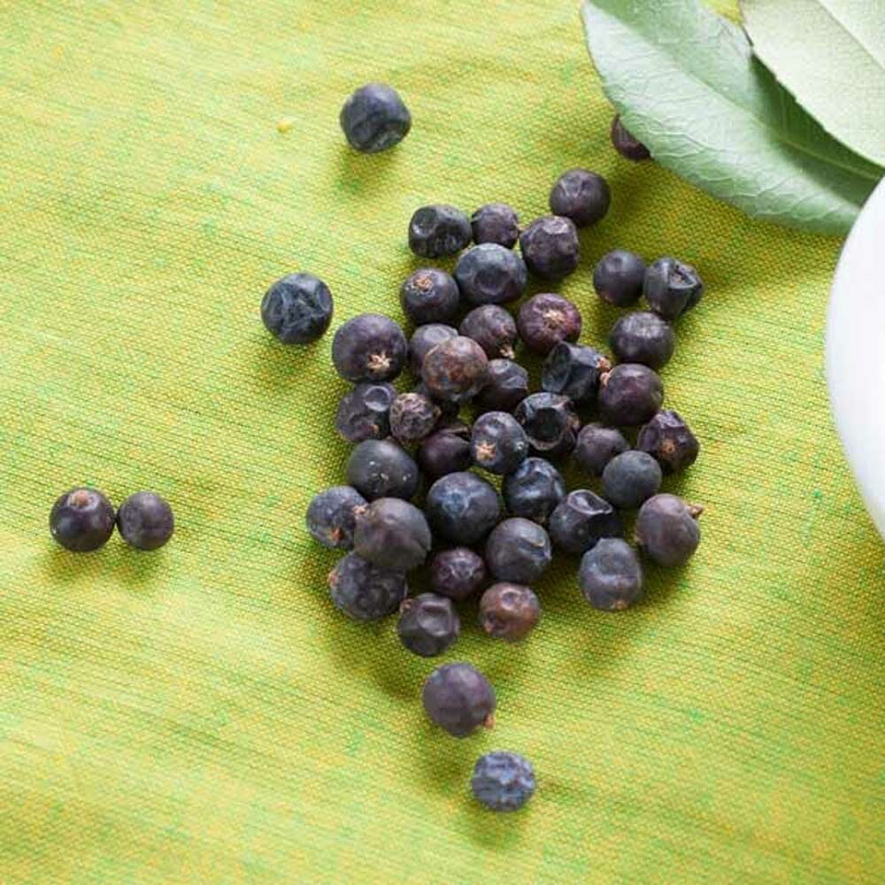 Juniper Flavor Extract, Organic - Bulk – Nature's Flavors