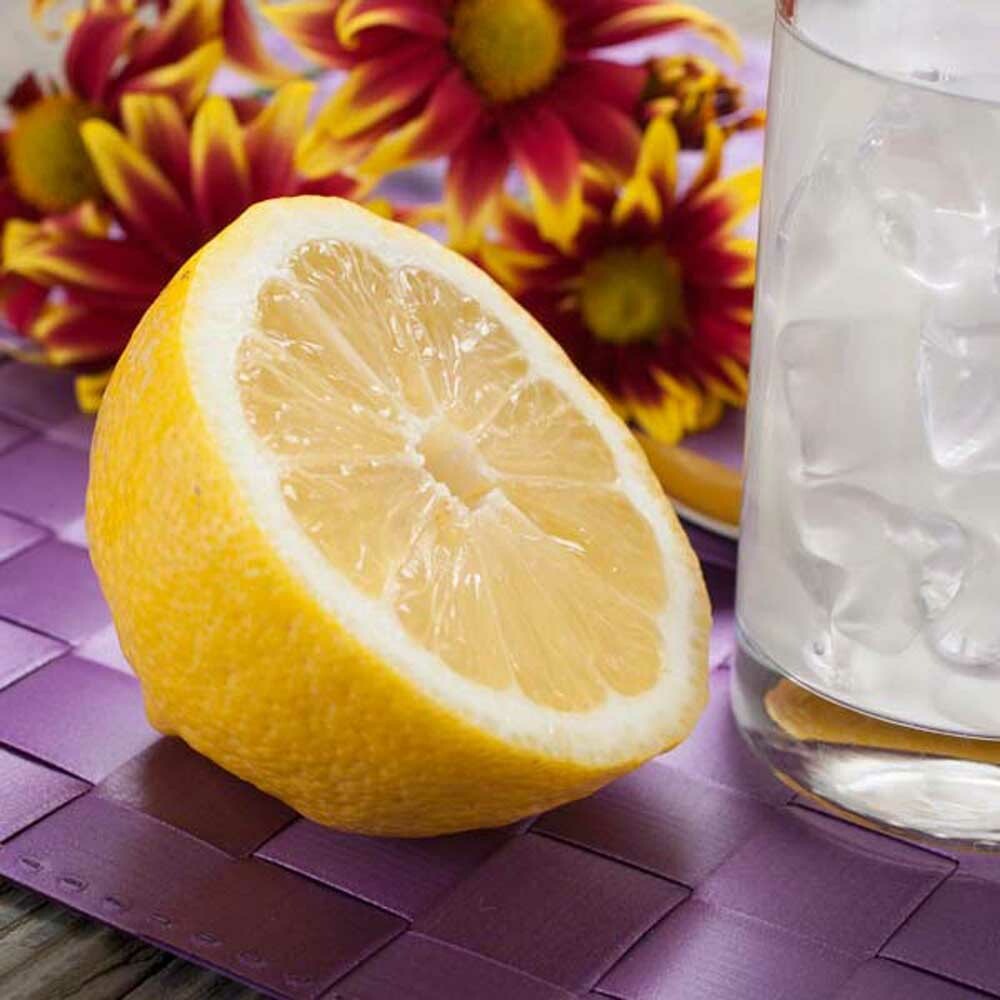 Lemon Snow Cone Syrup, Organic - Bulk – Nature's Flavors