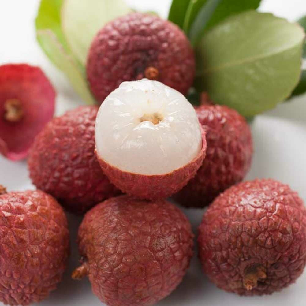 Organic Lychee Fragrance Oil (Alcohol Soluble) – Nature's Flavors