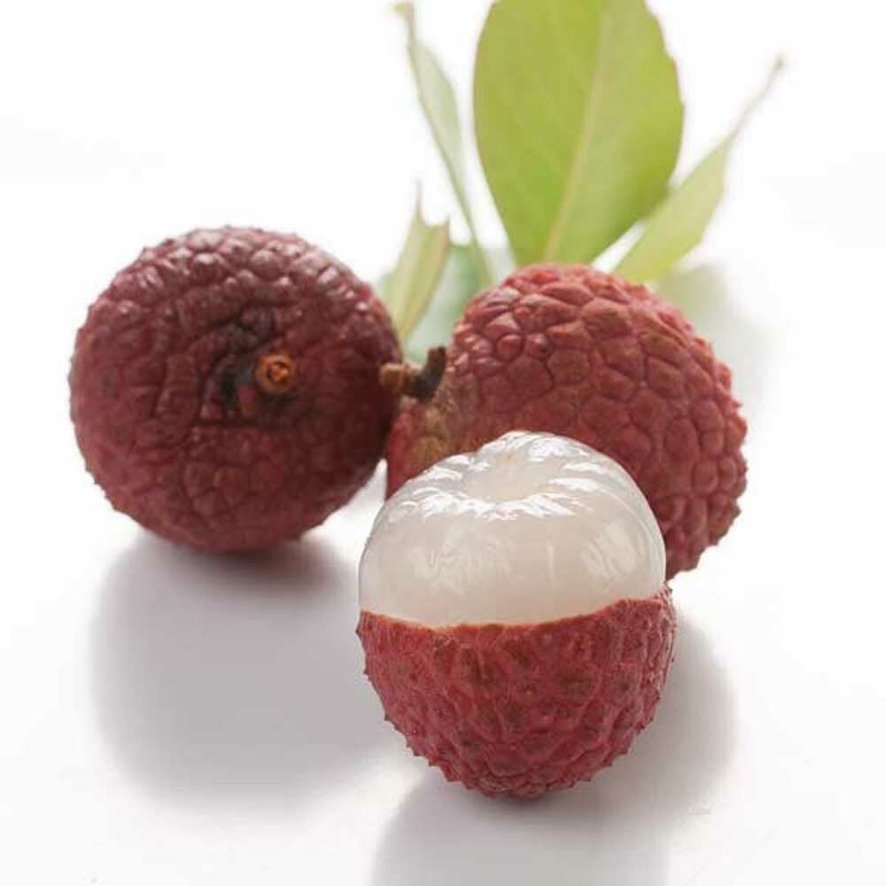 Lychee Fragrance Oil (Oil Soluble), Organic - Bulk – Nature's Flavors