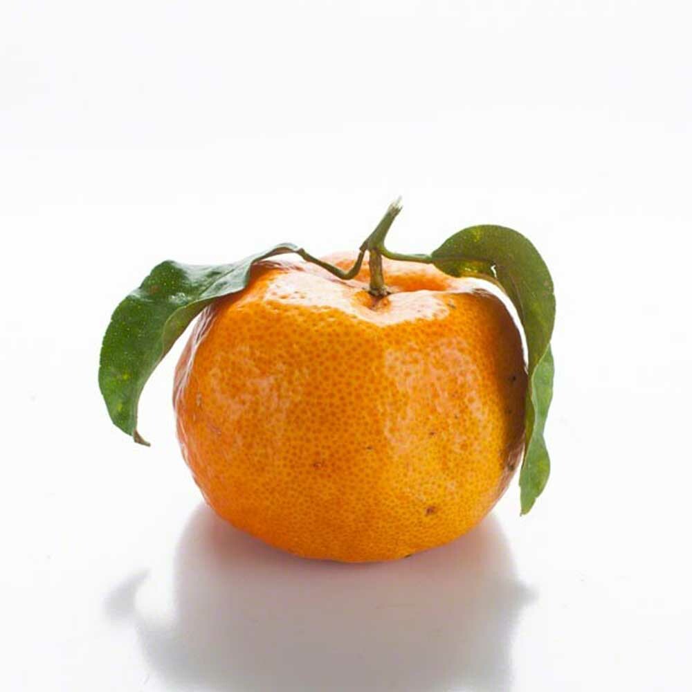 Mandarin Orange Coffee and Tea Flavoring - Without Diacetyl – Nature's ...