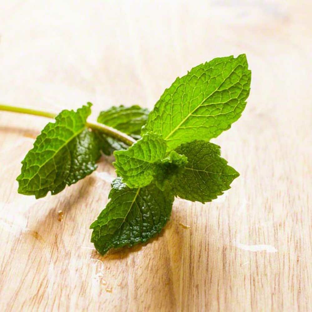 Mint (Organic) Coffee Syrup – Nature's Flavors