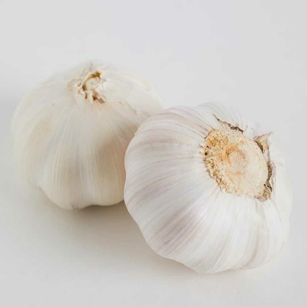 Garlic Cotton Candy (Organic) Sugar – Nature's Flavors