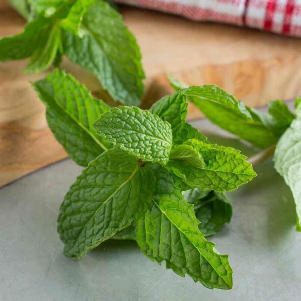 Organic Peppermint Fragrance Emulsion (Water Soluble) - Bulk – Nature's ...