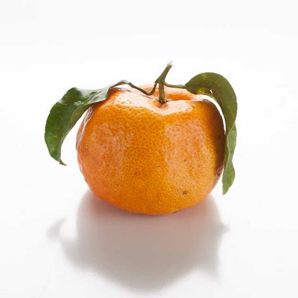 Tangerine Cotton Candy (Organic) Sugar – Nature's Flavors