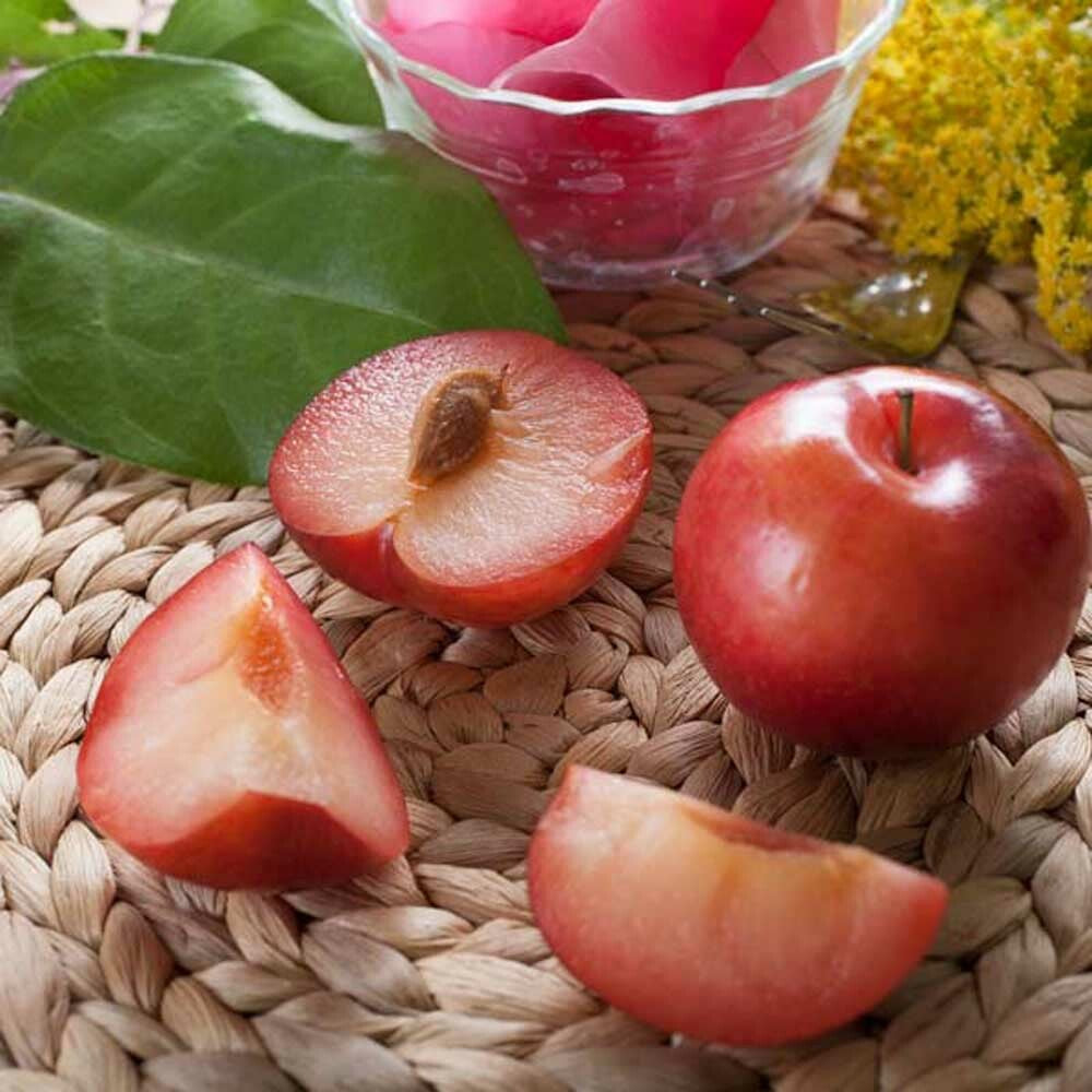 Organic Plum Apricot Flavor Extract – Nature's Flavors