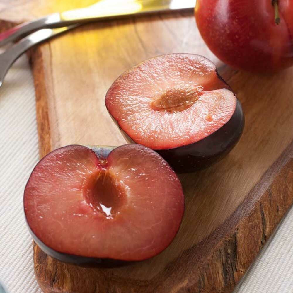 Plum Flavor Extract, Natural - Bulk – Nature's Flavors