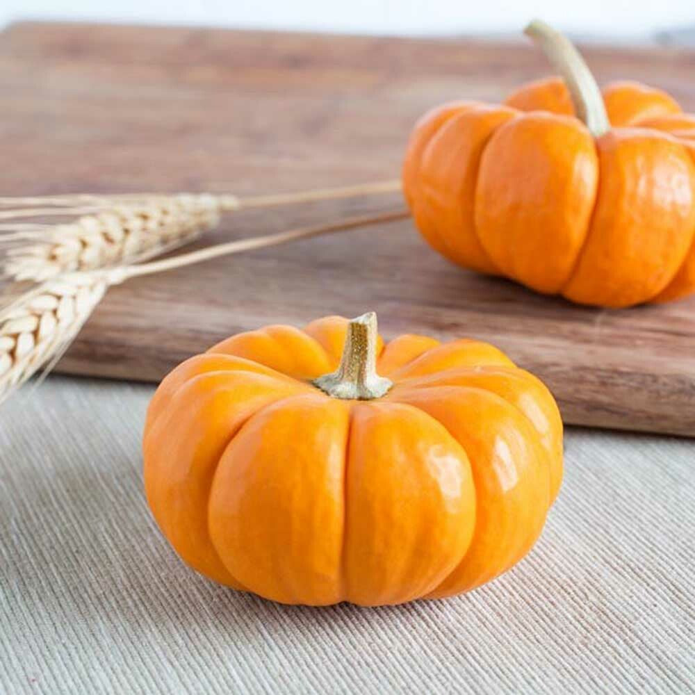 Pumpkin Compound, Organic - Bulk – Nature's Flavors