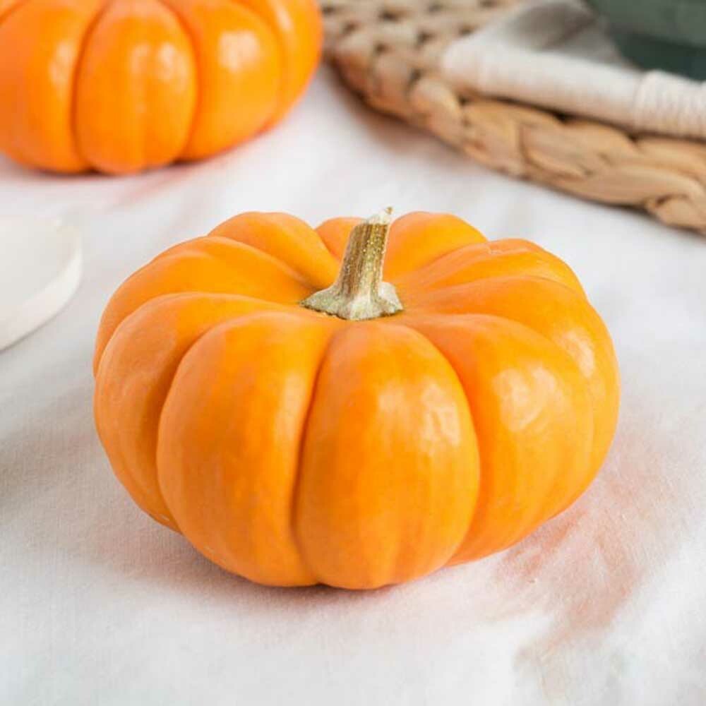 Pumpkin Flavor Emulsion – Nature's Flavors