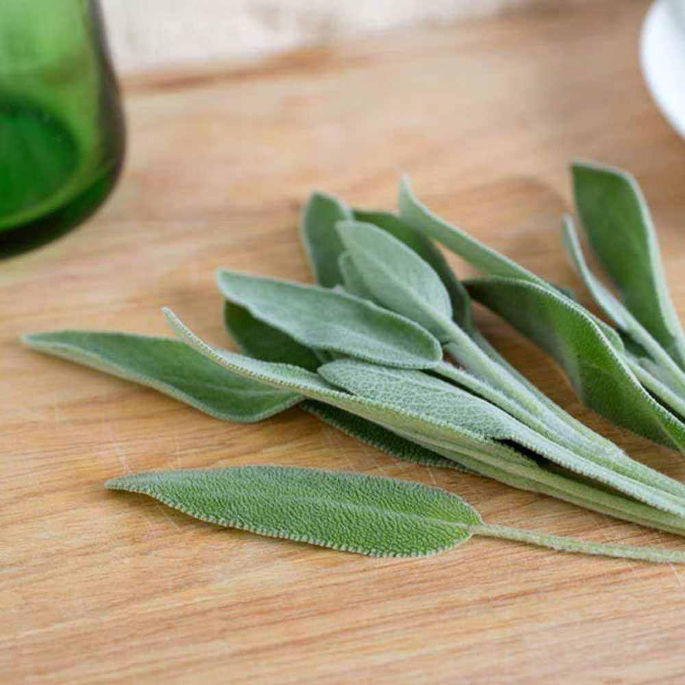 Sage Flavor Concentrate, Organic – Nature's Flavors