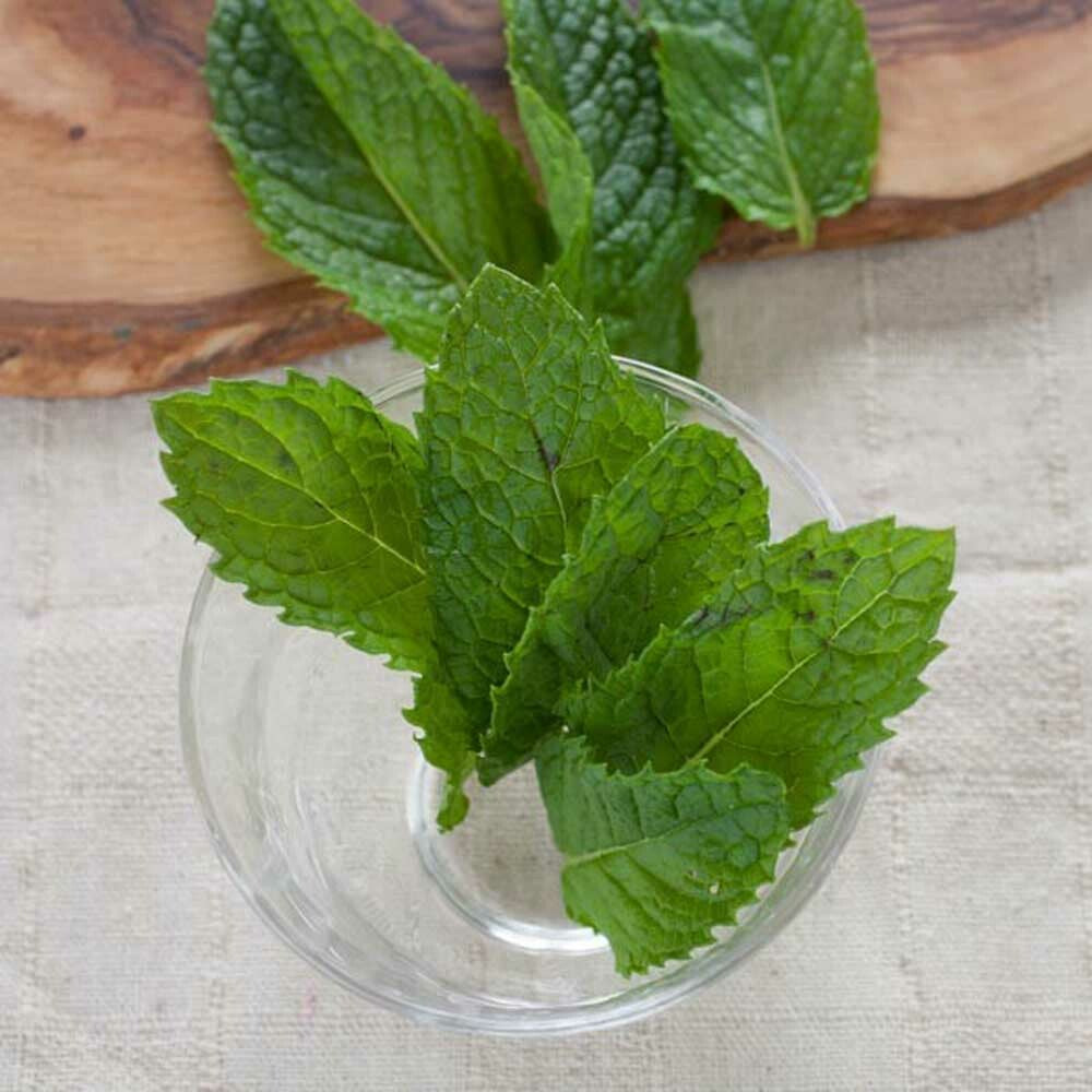 Spearmint Flavor Extract, Organic - Bulk – Nature's Flavors