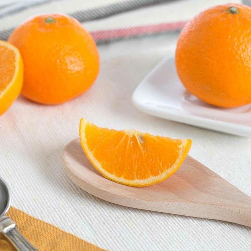 Tangerine Flavor Concentrate for Beverages, Organic – Nature's Flavors