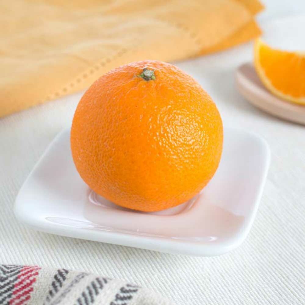 Tangerine Flavor Oil for Chocolate – Nature's Flavors