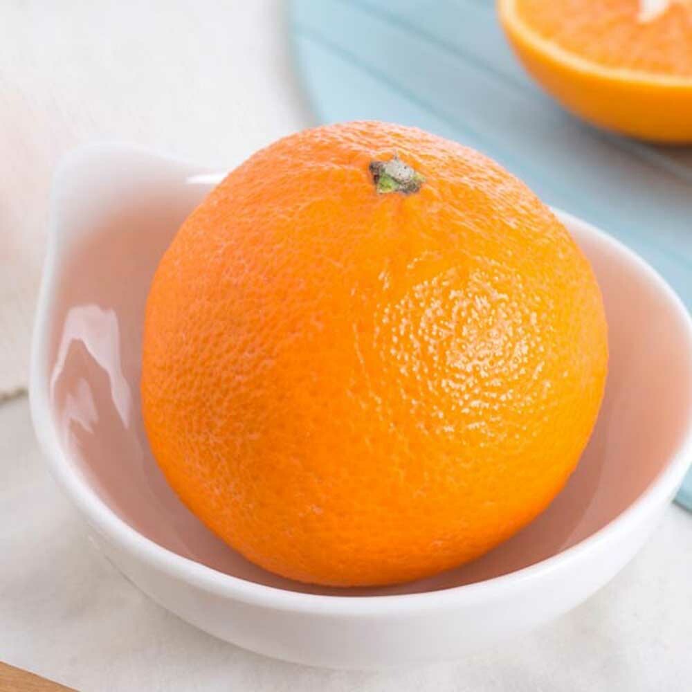 Tangerine Flavor Oil for Lip Balm - Bulk – Nature's Flavors