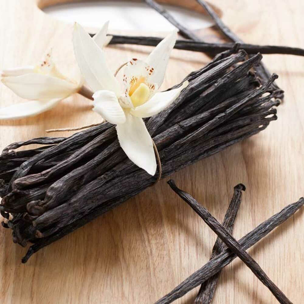 Organic Vanilla Fragrance Oil (Coconut Notes) (Oil Soluble) – Nature's ...