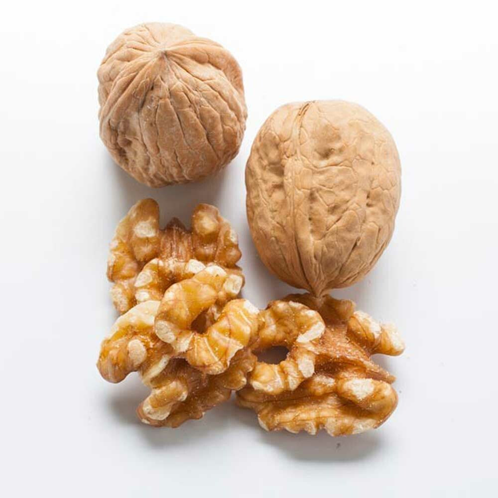 Walnut Flavor Concentrate, Natural - Bulk – Nature's Flavors